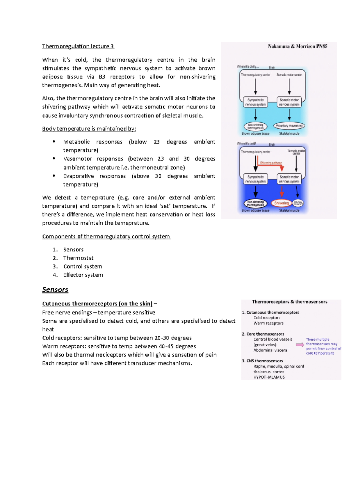Thermoregulation lecture 3 - Main way of generating heat. Also, the ...