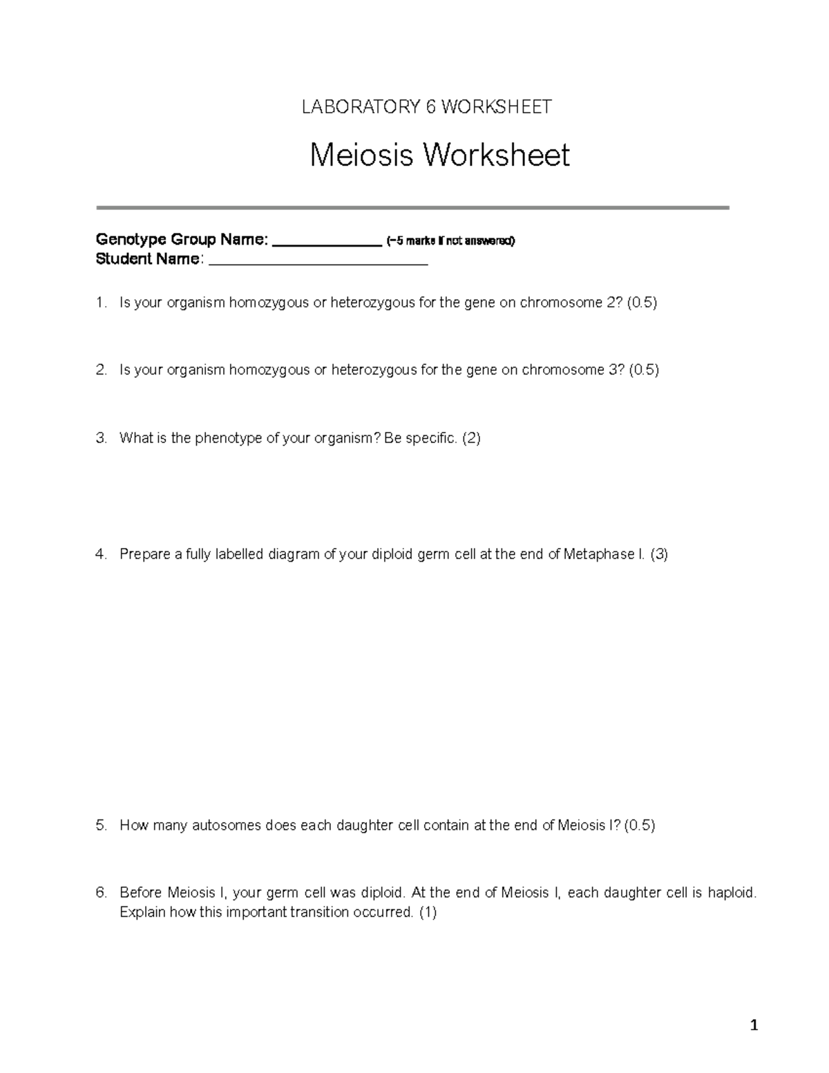 Lab 7 Meiosis Worksheet - 1 LABORATORY 6 WORKSHEET Meiosis Worksheet ...
