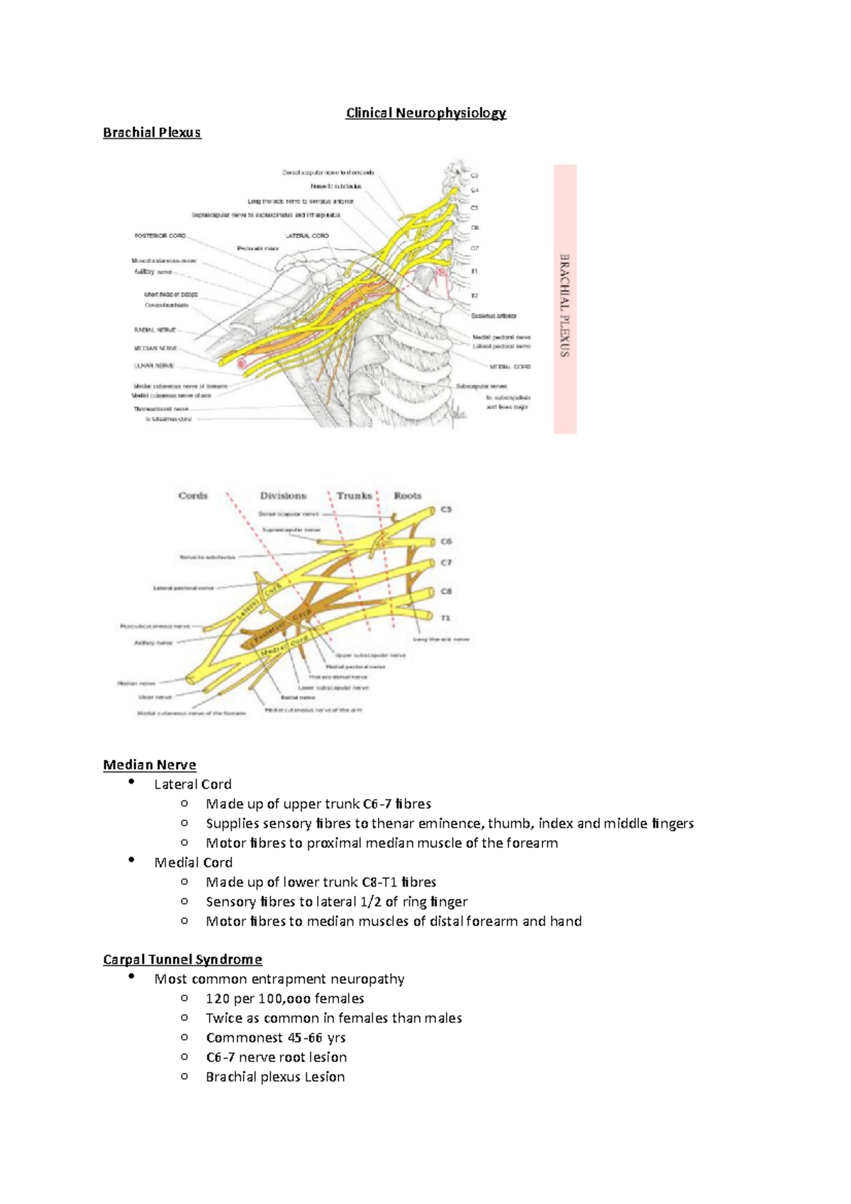 Clinical Neurophysiology - Clinical Neurophysiology Brachial Plexus ...