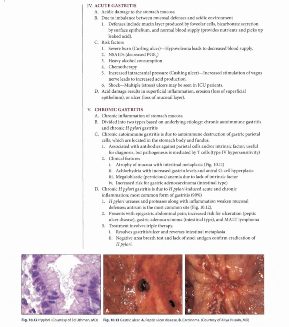 Diseases of Digestive System - Pathology and Pathophysiology - Studocu