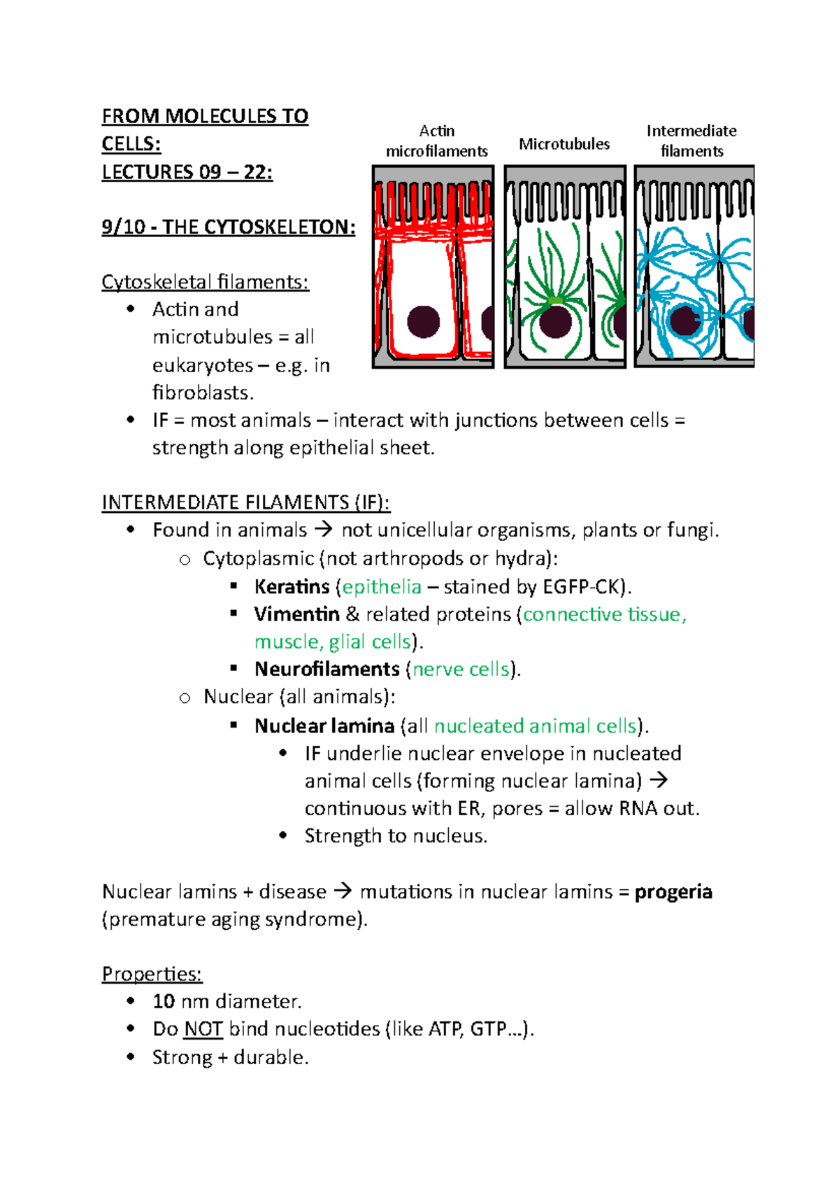 FROM Molecules TO Cells lectures 9 - 22 - FROM MOLECULES TO CELLS ...