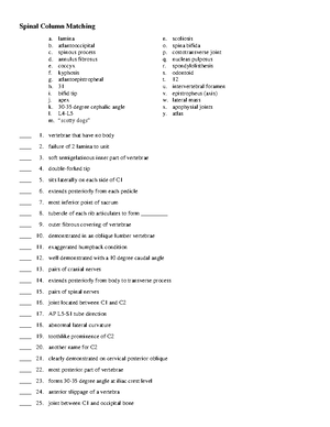 Grids and Scatter worksheet homework - Name ...