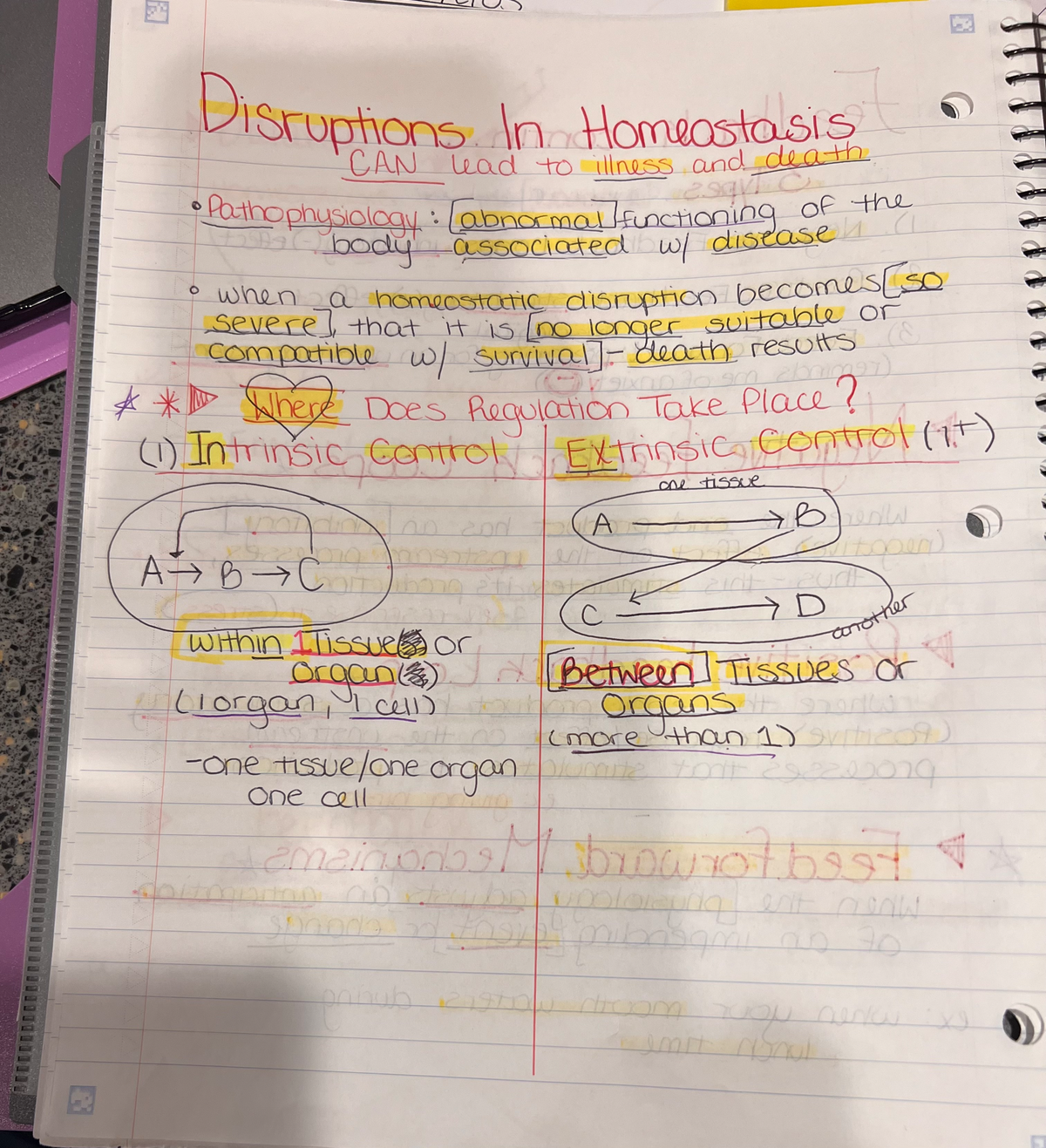 Homeostasis and Cell Biology - Disruptions In Homeastasis CAN lead to ...