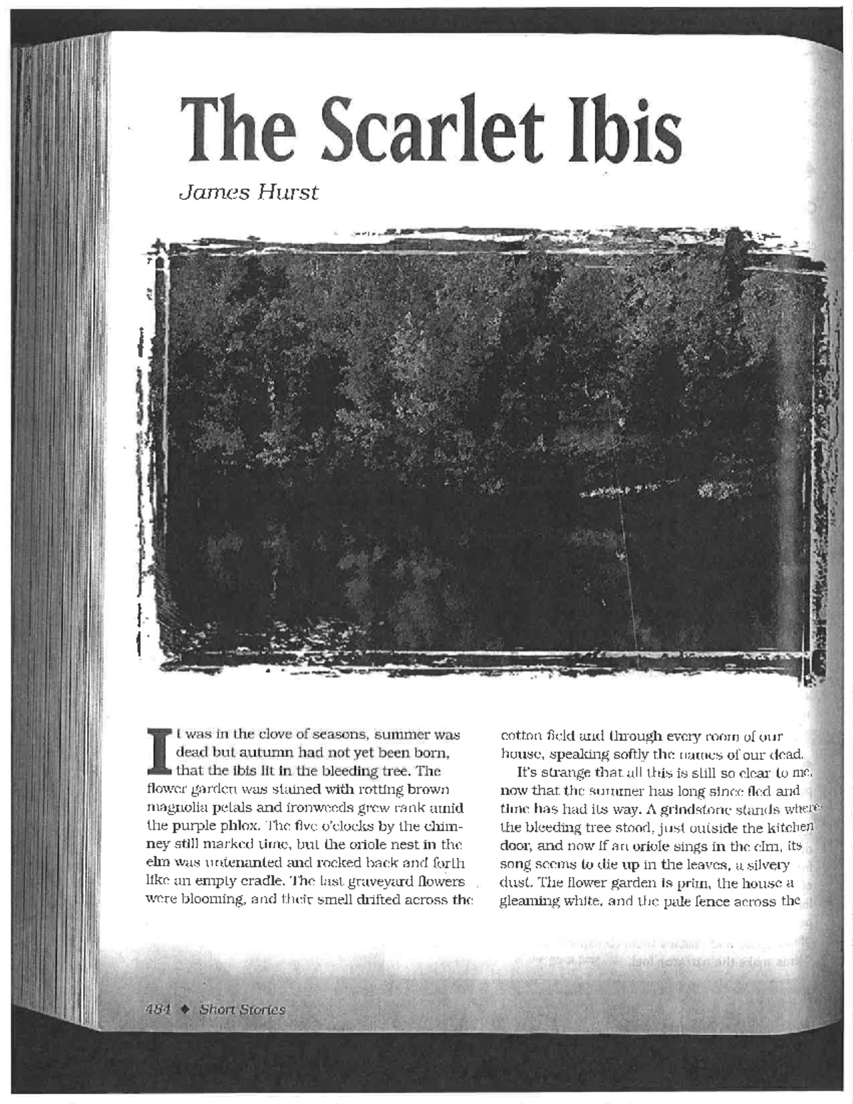 The Scarlet Ibis Full Text - e.g law - Studocu