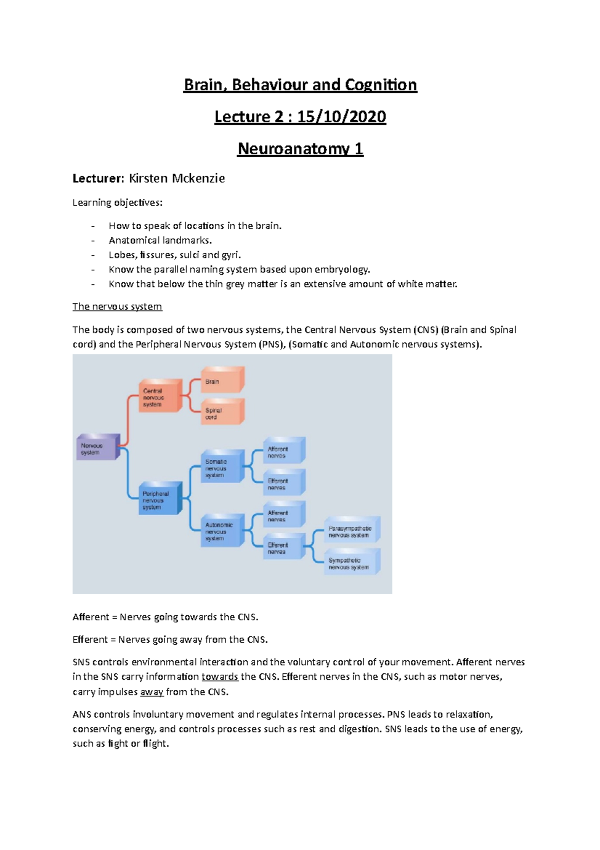 BBC - L2 - Neuroanatomy I - Brain, Behaviour and Cognition Lecture 2 : 15/10/ Neuroanatomy 1 ...