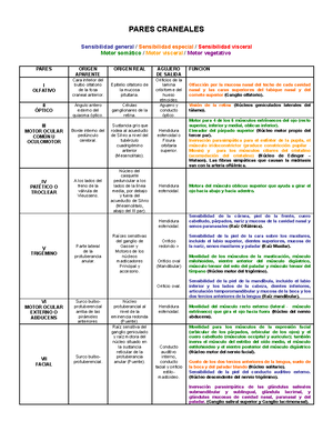 Región Maseterina - REGIÓN MASETERINA FORMA Ubicada en la parte lateral ...