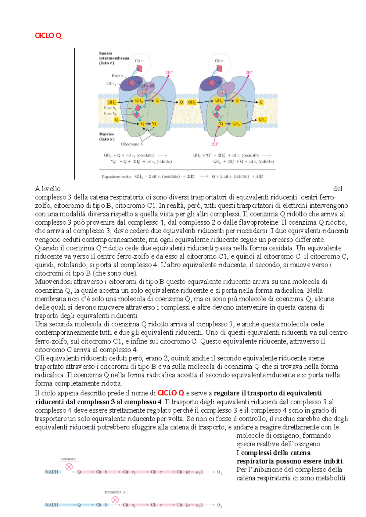 21. Lezione 6 Dicembre copia - CICLO Q A livello del complesso 3 della ...