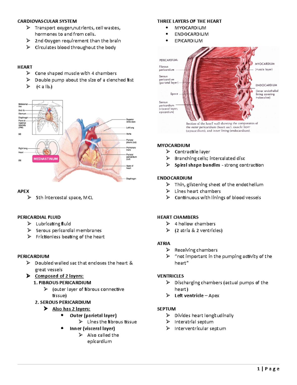 Cardiovascular- System - CARDIOVASCULAR SYSTEM Transport oxygen ...