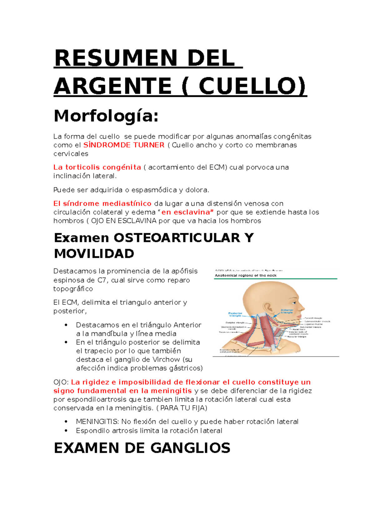 Resumen DEL Argente- Cuello - RESUMEN DEL ARGENTE ( CUELLO) Morfología ...