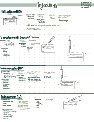 Perioperative Nursing - THREE PERIOPERATIVE PHASES ...