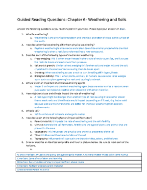 Ch. 7 Guided Reading Questions - Guided Reading Questions: Chapter 7 ...