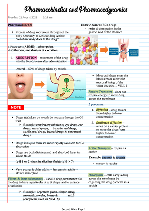 Chn lecture week 8&9 - family ncp - FIRST LEVEL ASSESSMENT SECOND LEVEL ...