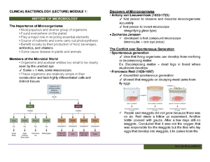 Spirochetes - Spirochetes Belong to a phylum of diderm (doublemembrane ...