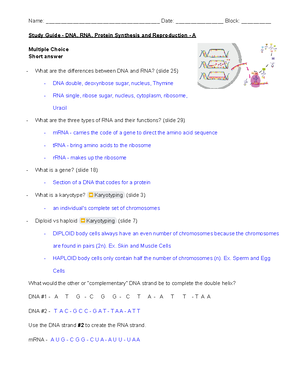 All Root Words - Root Words Root Meaning Example act, ag do, act, drive ...
