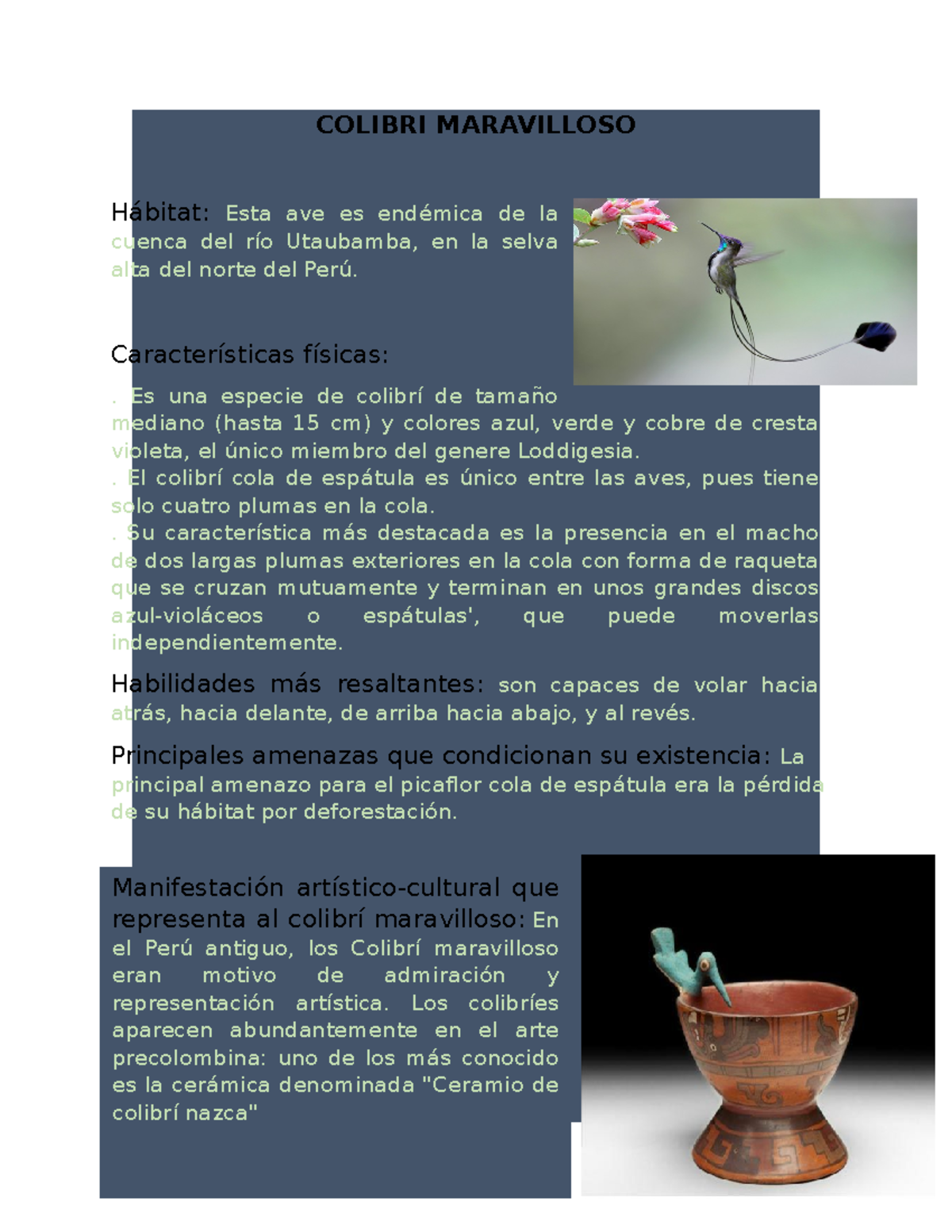 Colibri Maravilloso ; Investigacion; - biologia - Studocu