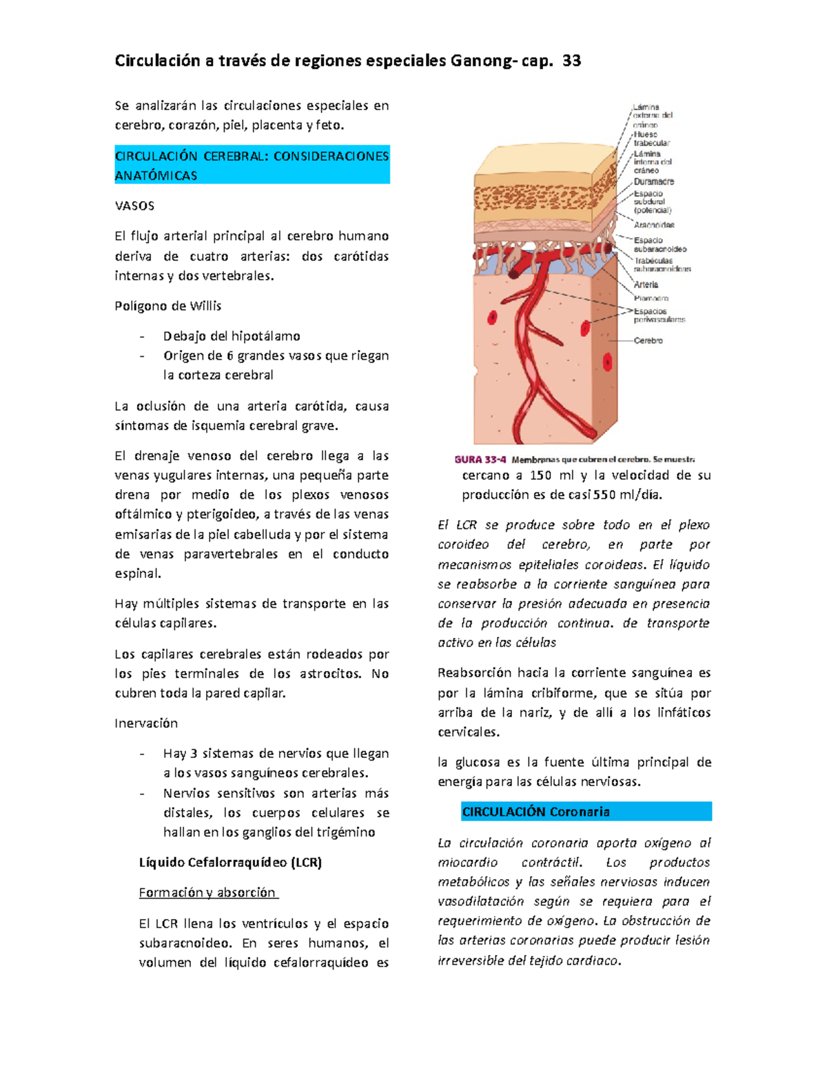 Circulación por regiones especializas(resumen) - Circulación a través ...