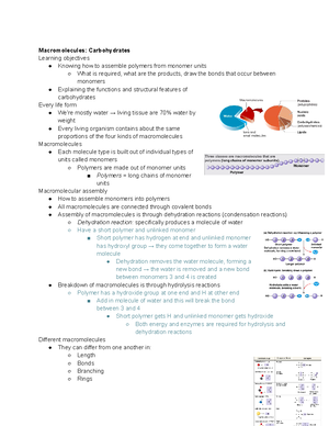 MCDB 1A Cell Biology - Notes - Cell Biology: Overview Eukaryotic cell ...