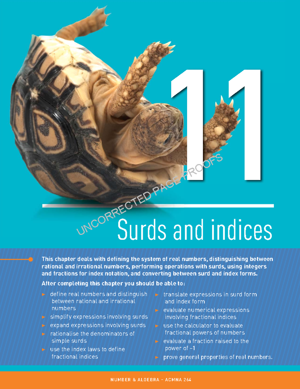 Mathematics Advanced Exercises Year 9 - Surds and indices define real ...