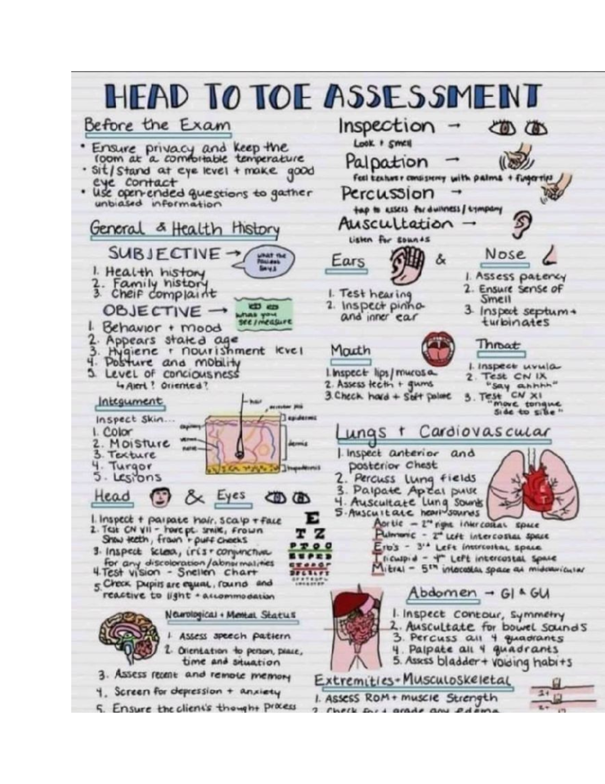 extra. head to toe must know to pass clinicals - HEAD TO TOE ASSESSMENT ...