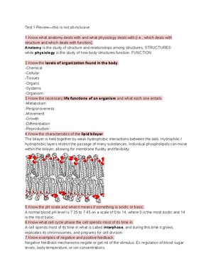 EXAM 1 Study Guide - BIOL 2401 Anatomy and Physiology I Learning ...