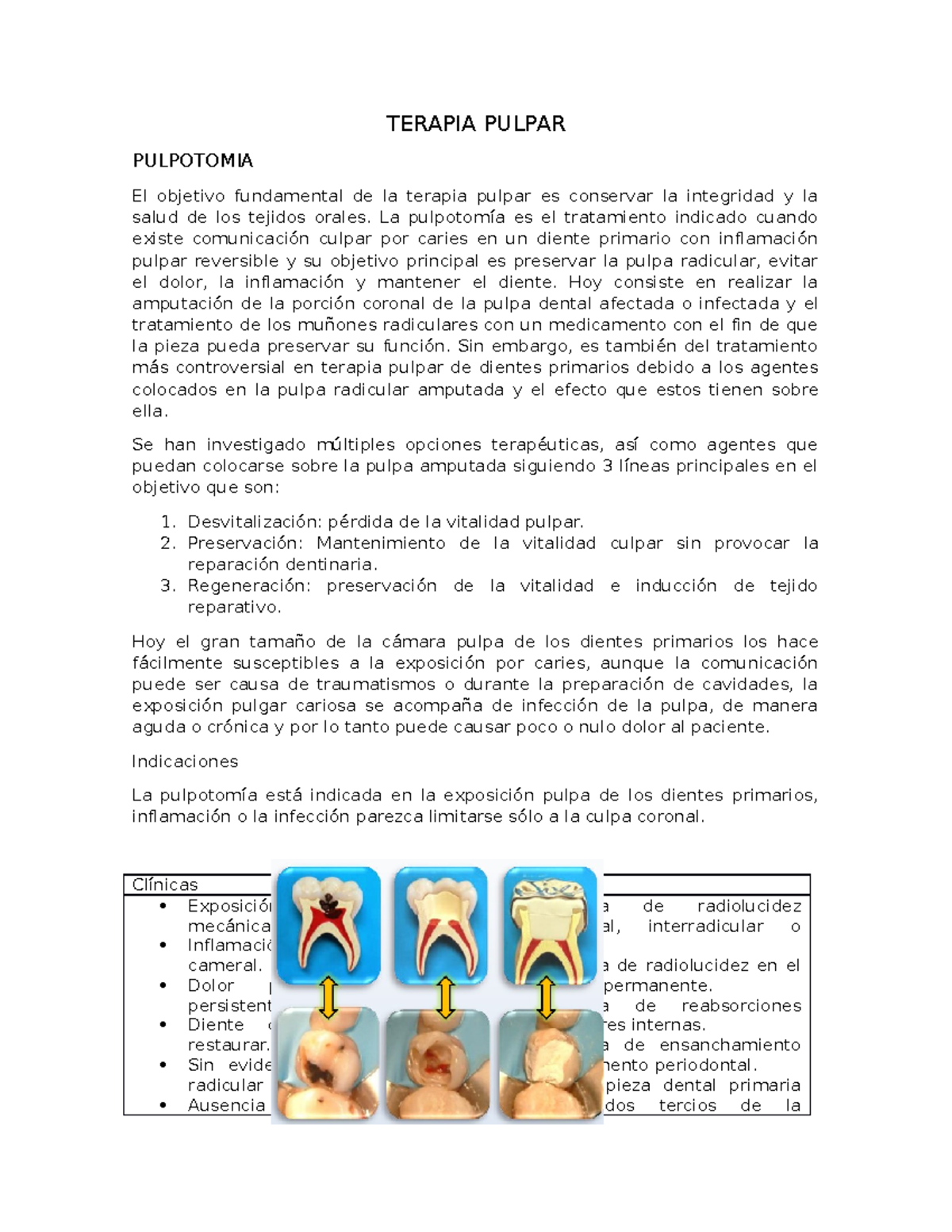 Terapia Pulpar - protocolo pulpo y pulpectomia - TERAPIA PULPAR PULPOTOMIA El objetivo ...