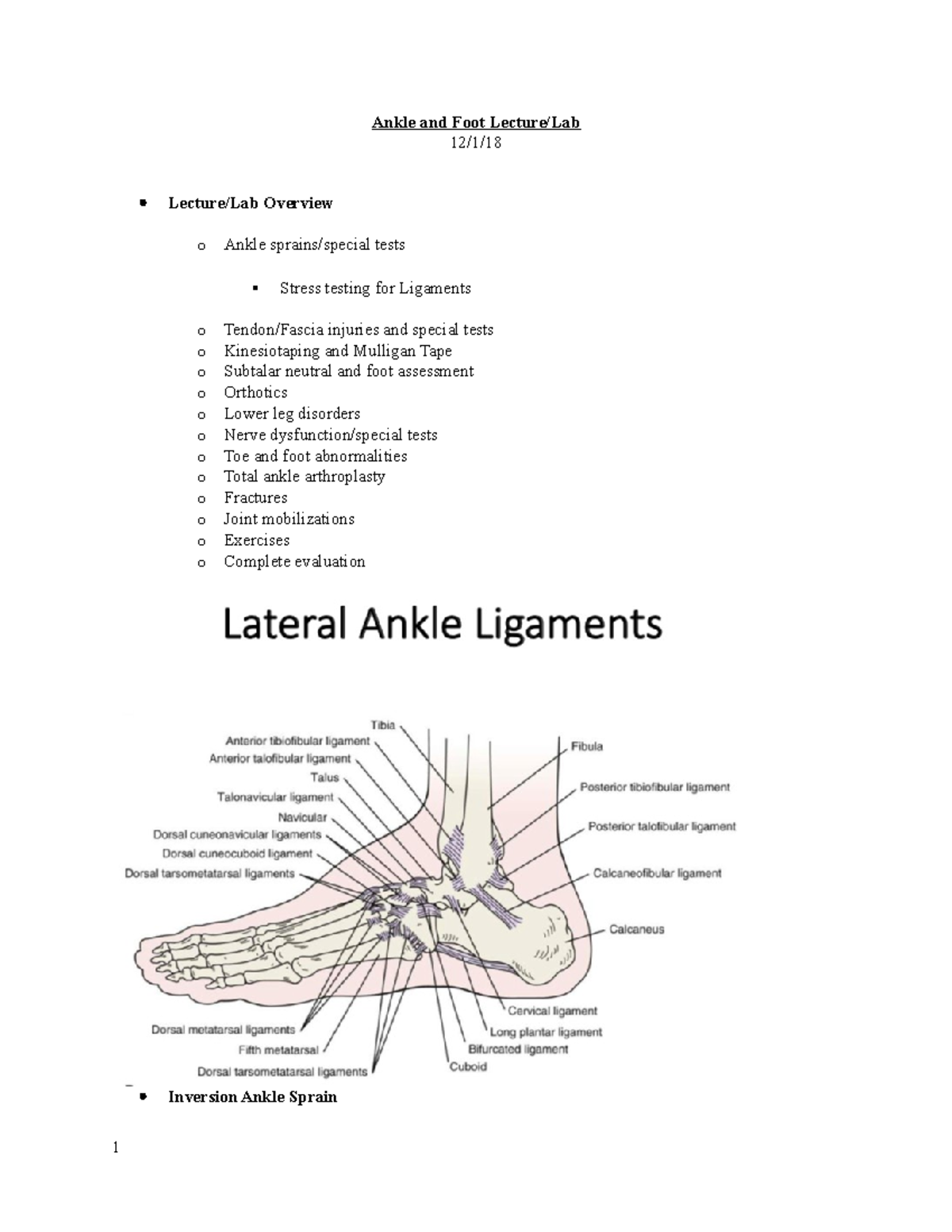 Ankle and Foot Lecture - Ankle and Foot Lecture/Lab 12/1/ Lecture/Lab ...