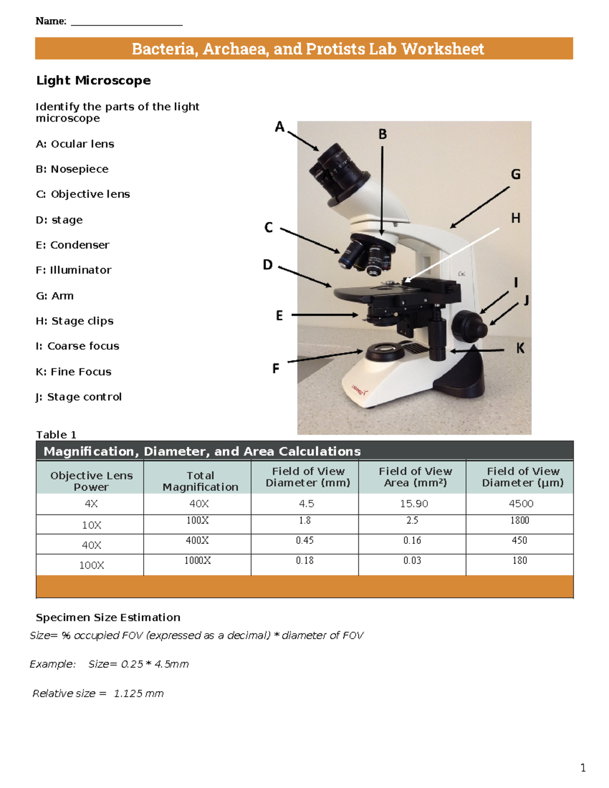 Bio182-worksheet lab 2 - Bacteria, Archaea, and Protists Lab Worksheet ...