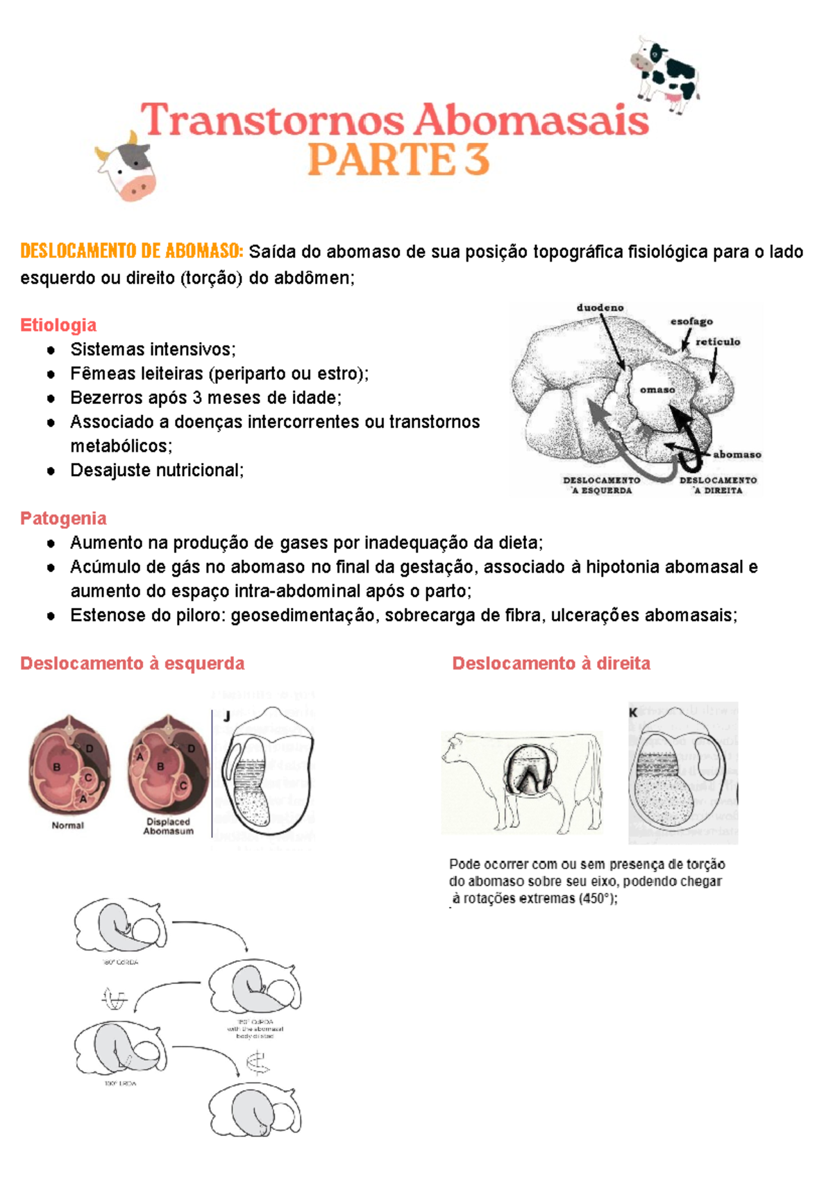 Sistema Digestório - Parte 3 - DESLOCAMENTO DE ABOMASO: Saída do ...