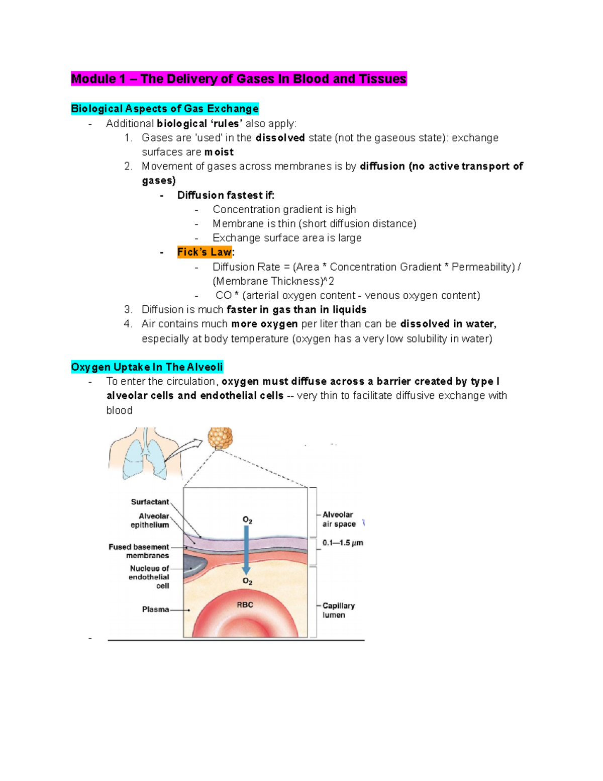 Lec. 7 Pulmonary Physiology Part 3(Biol 171B) - Module 1 – The Delivery ...