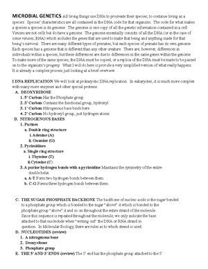 Microbiology Chapter 5 - Chapter 5: Microbial Metabolism (Test #2) Big ...