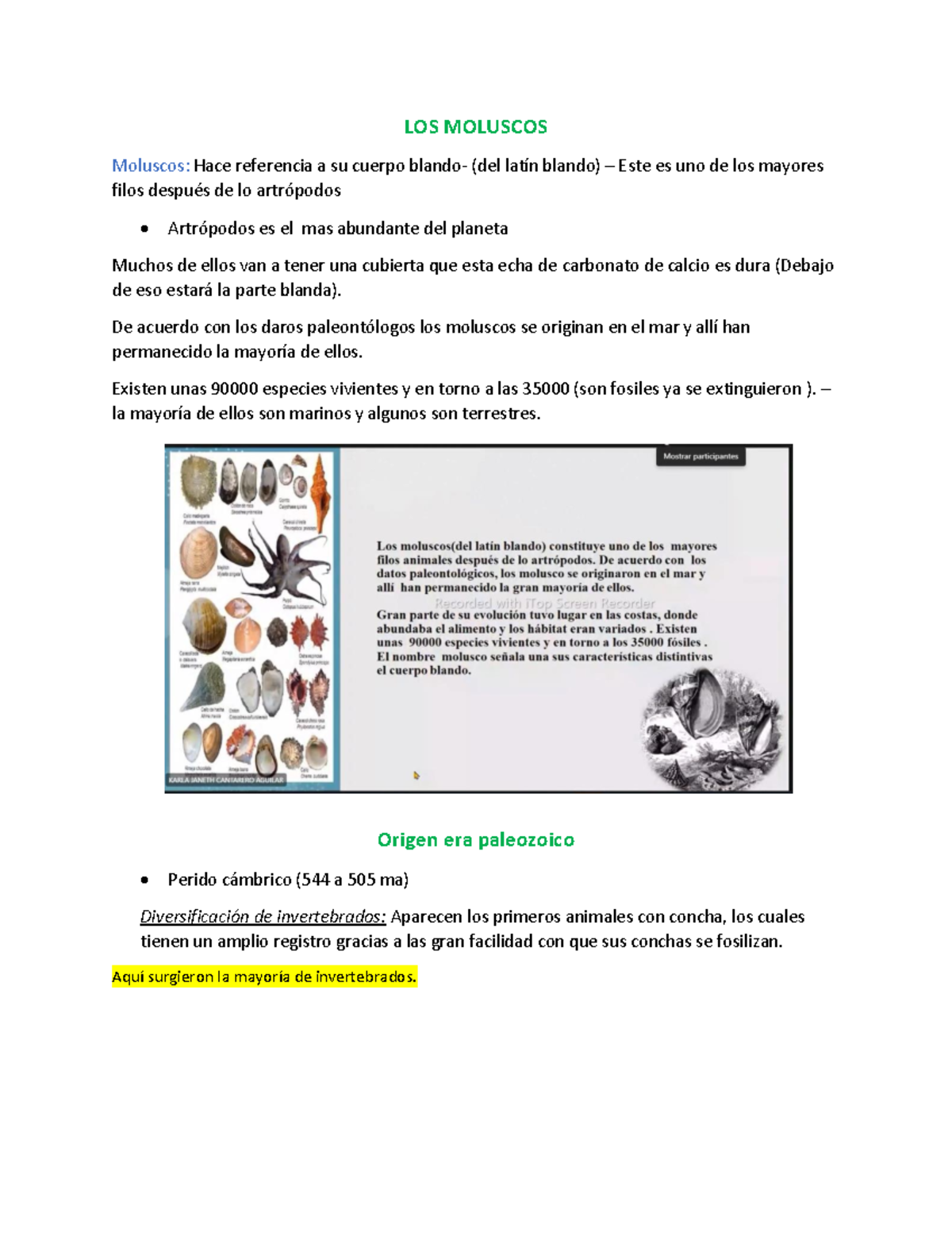 Resumen DE Moluscos - aaaaaaaaaaaaa - LOS MOLUSCOS Moluscos: Hace ...
