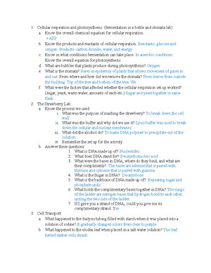 Fish Lab Report - [Last Name] 1 Kimberly Rauda Prof. Laila Ali Biology ...