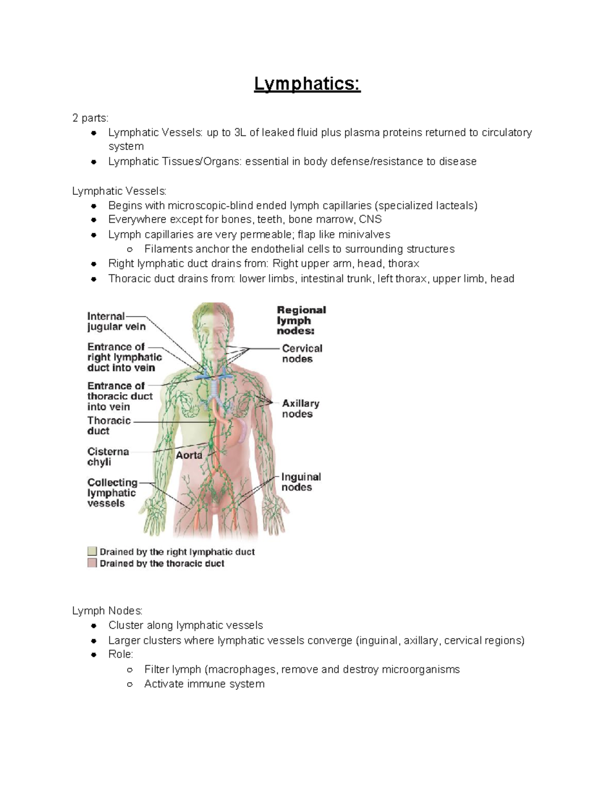 Notes for Lymphatic and Respiratory System - Lymphatics: 2 parts ...