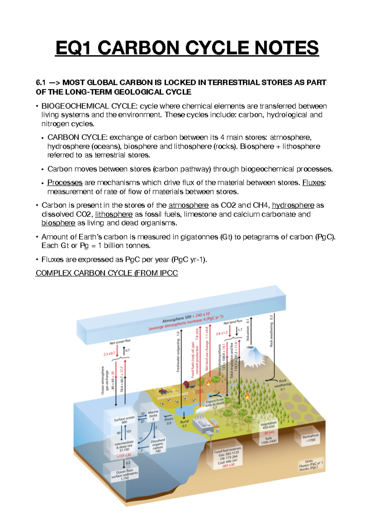 EQ1 carbon cycle notes - EQ1 CARBON CYCLE NOTES 6 —> MOST GLOBAL CARBON ...
