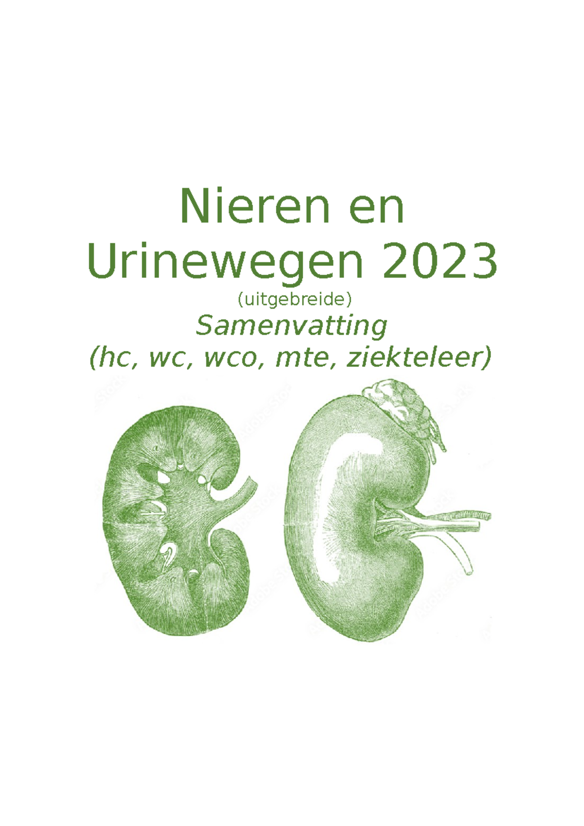 Uitgebreide NU samenvatting - Urinewegen 2023 (uitgebreide ...