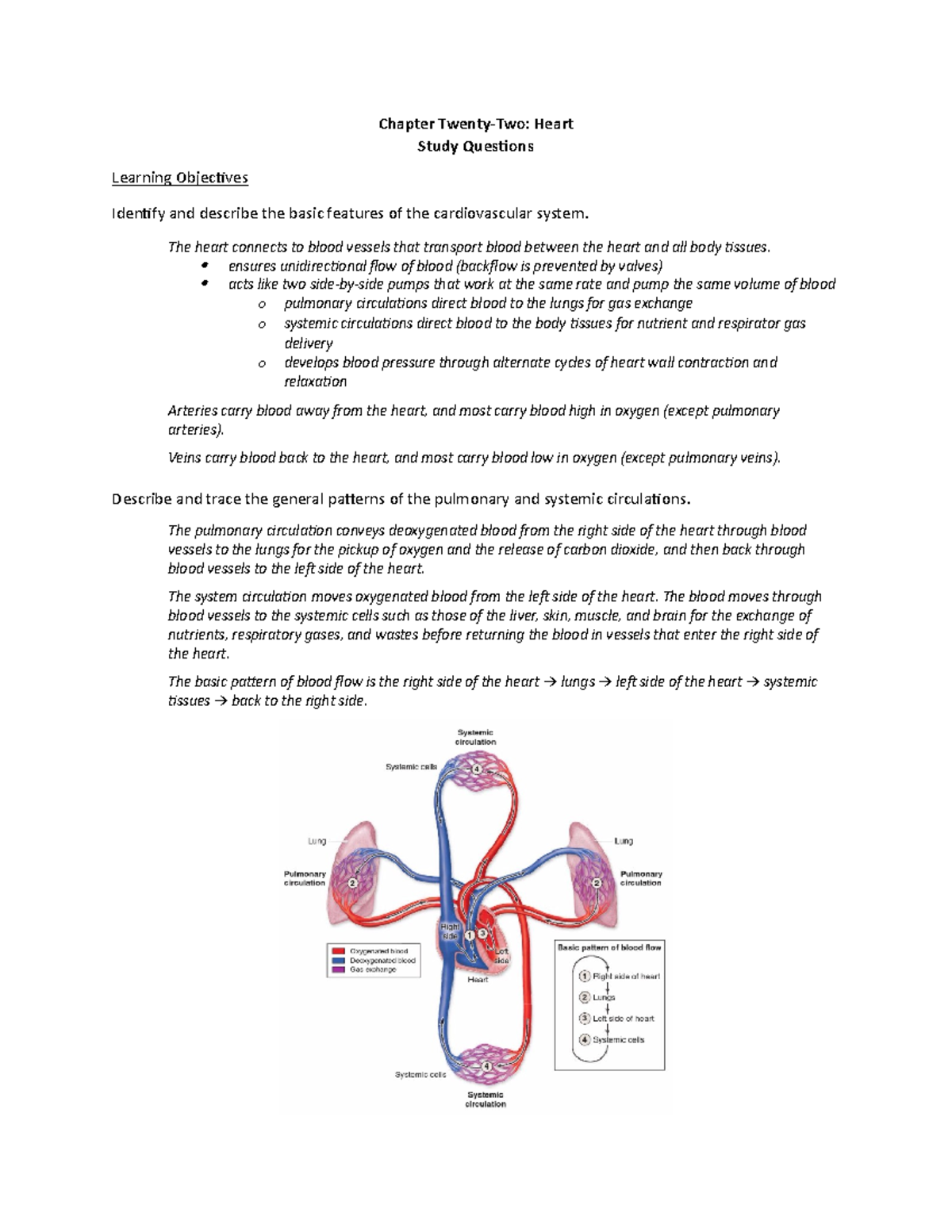 Chapter Twenty-Two Notes - Heart - Chapter Twenty-Two: Heart Study ...