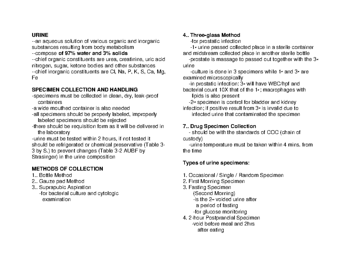 Urine - CLINICAL MICROSCOPY SUMMARIES FROM STAINSTEINGERS BOOK - URINE ...