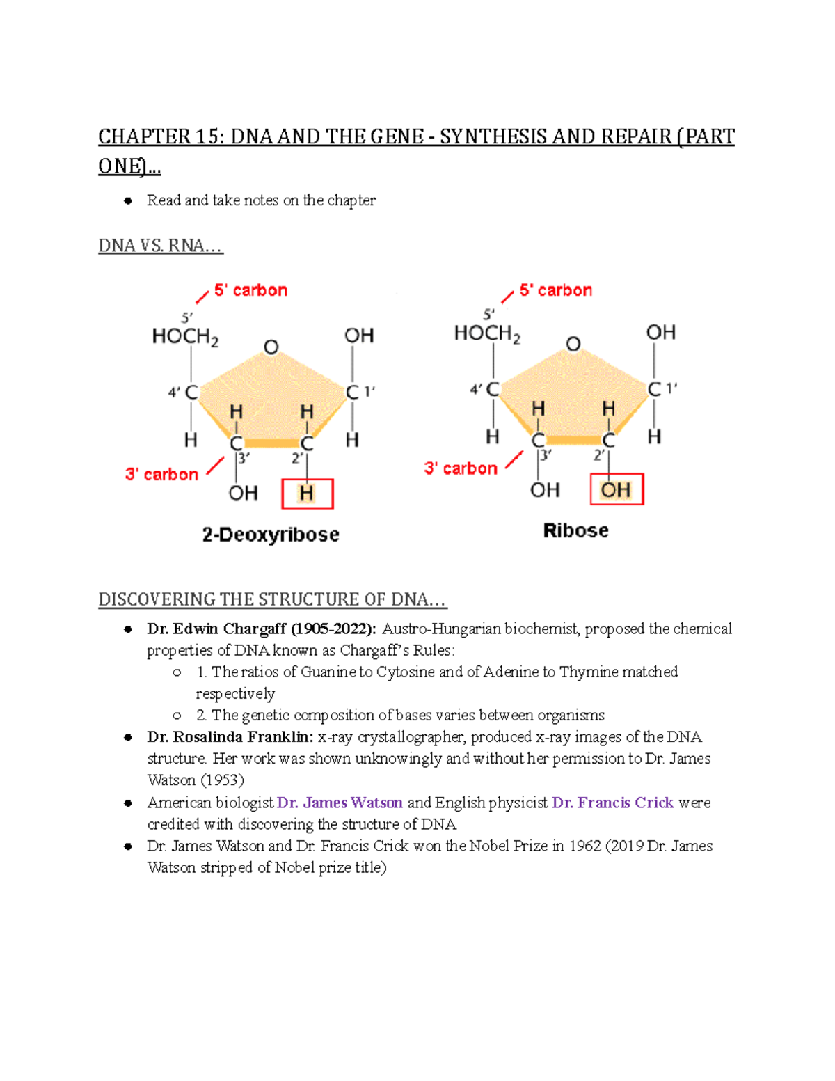 Chapter 15 DNA and GENE-Synthesis and Repair part 1 - CHAPTER 15: DNA ...