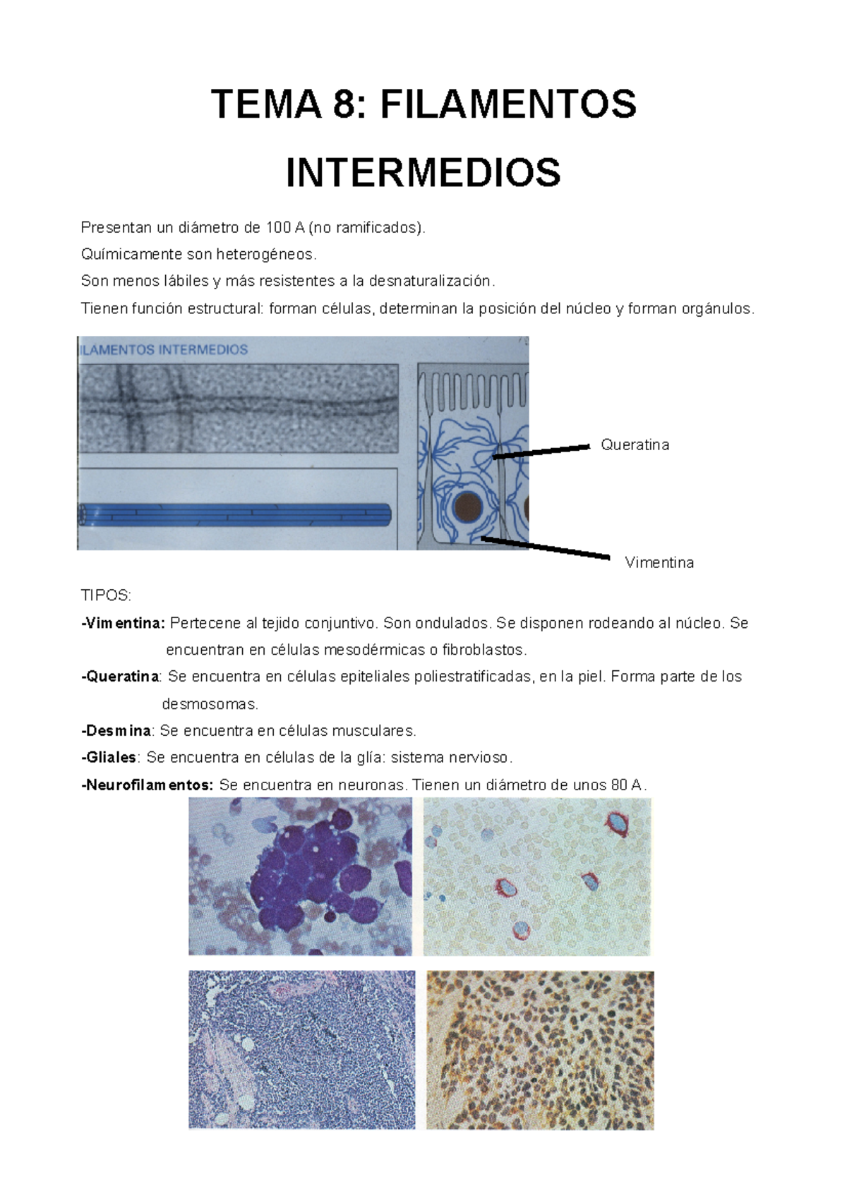 TEMA 8. Filamentos Intermedios - TEMA 8: FILAMENTOS INTERMEDIOS ...