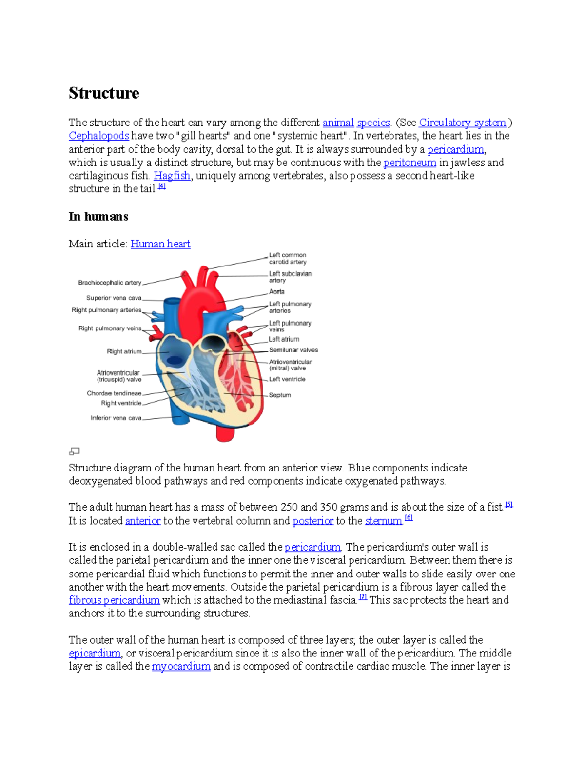 Anatomy and Physiology lecture notes -> the cardiovascular system ...