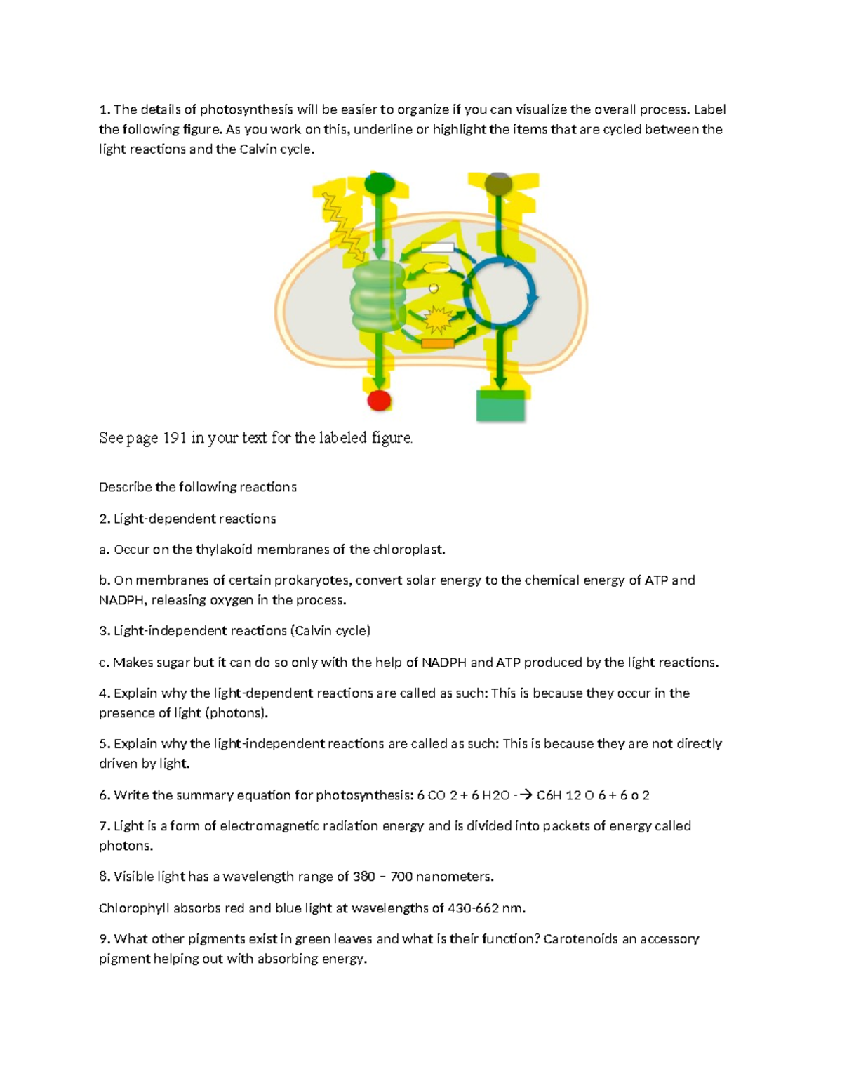 10 Study Guide - nnn - 1. The details of photosynthesis will be easier ...