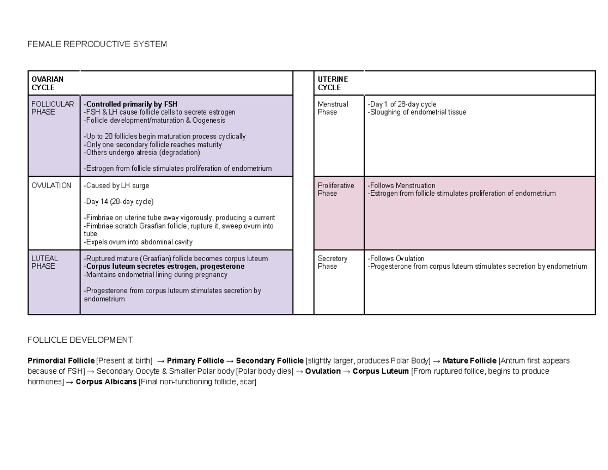 Reproductive System Notes - FEMALE REPRODUCTIVE SYSTEM OVARIAN CYCLE ...