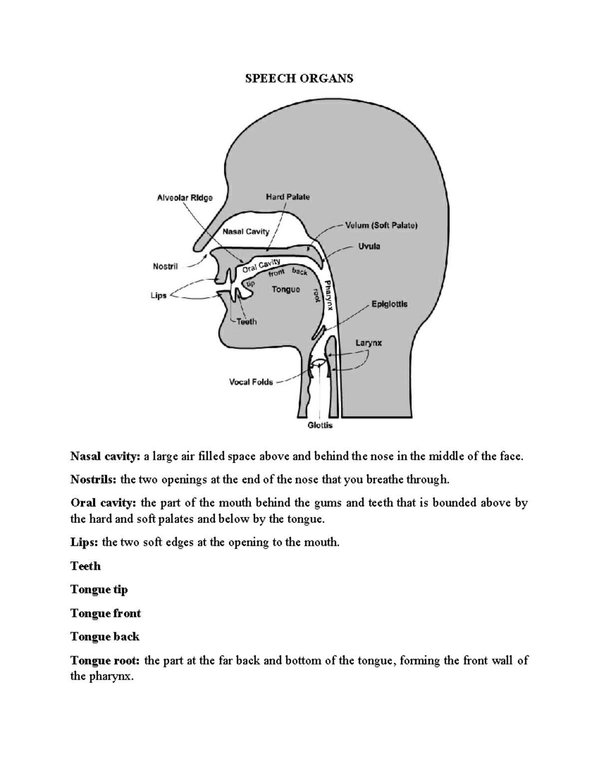 English Linguistics 1 - It's about what students need to learn ...