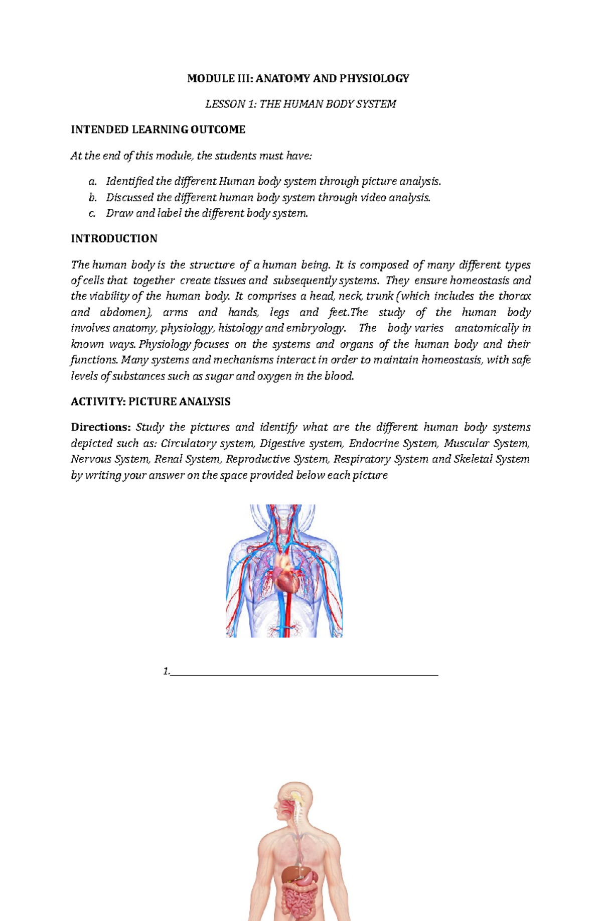 Module 3 Anatomy 1 Science Anatomy 111 - Animal Science - Studocu