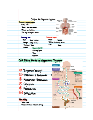 Chapter 16 Endocrine Study Guide-2 - Chapter 16 Endocrine System ...