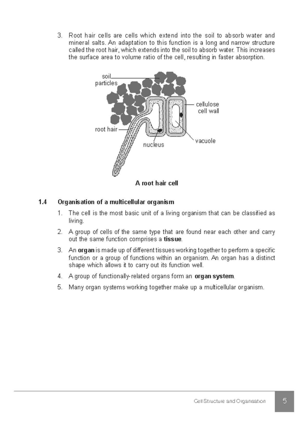 11 - hello - Cell Structure and Organisation 5 Root hair cells are ...