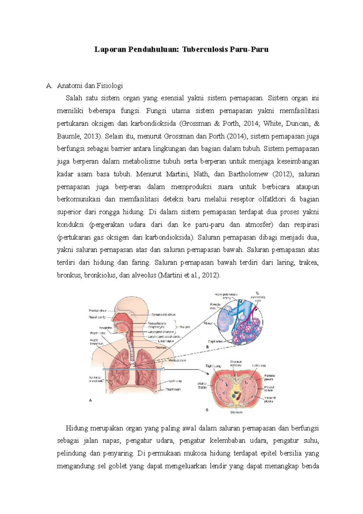Laporan Pendahuluan TBC - Laporan Pendahuluan: Tuberculosis Paru-Paru A ...