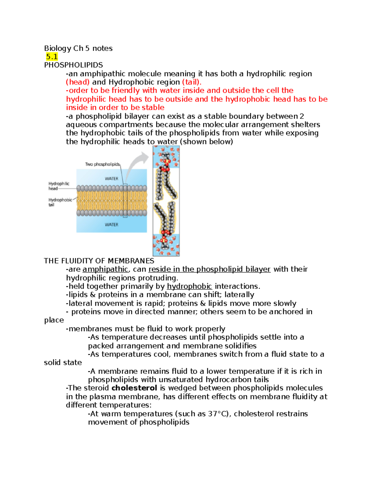 General Biology Ch 5 Lec notes - Biology Ch 5 notes 5. PHOSPHOLIPIDS ...