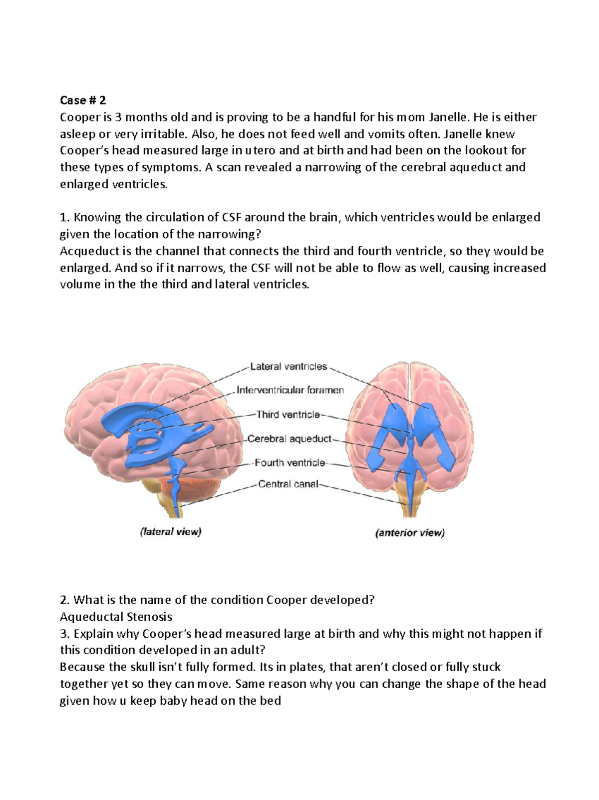 Anatomy Case Study 2 - Case # 2 Cooper is 3 months old and is proving ...