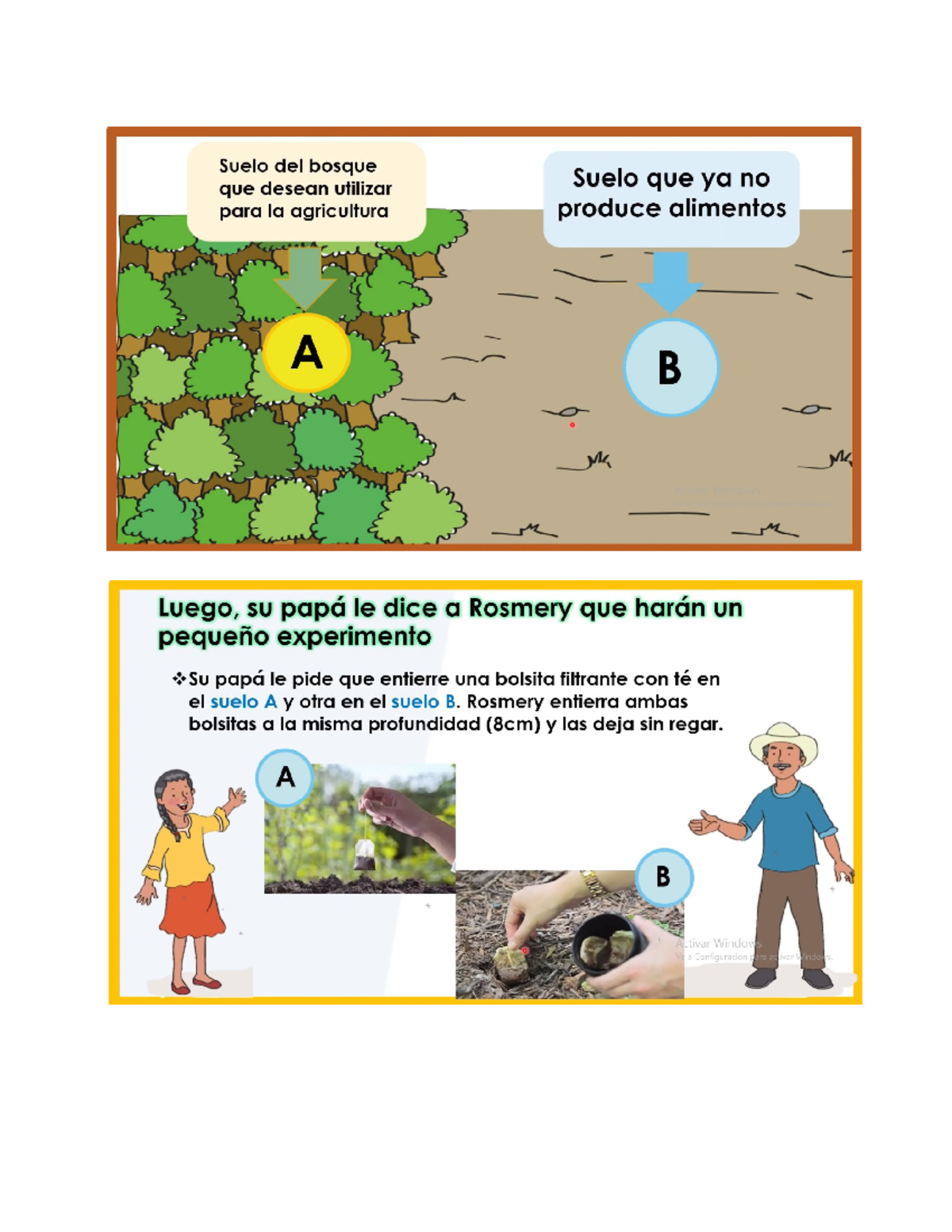 El suelo Andres - AGROECOLOGÍA (ELECTIVA II) - Studocu